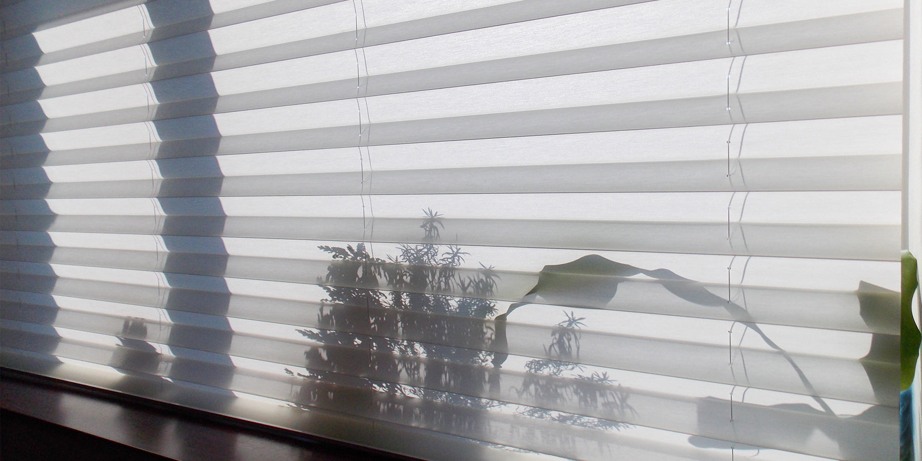 Custom Window Shades | Hestia Blinds